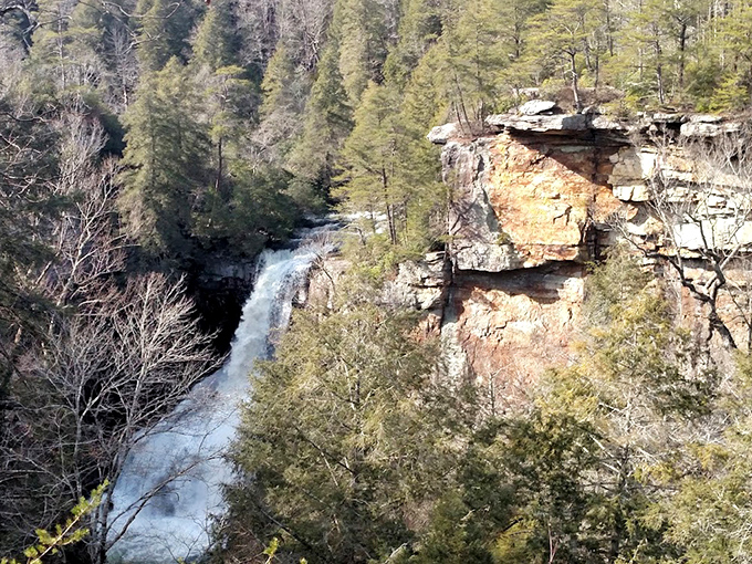 Winter reveals the falls' skeleton of stone and water, a stark beauty that rivals its more lush summer personality.
