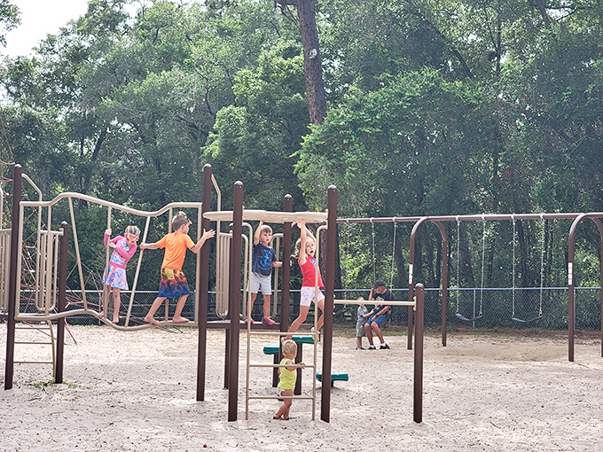 Whispering Pines Park offers old-school playground fun where kids can experience the radical concept of playing without screens.