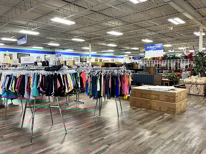 The strategic layout transforms what could be chaos into a department store experience, minus the heart-stopping price tags.