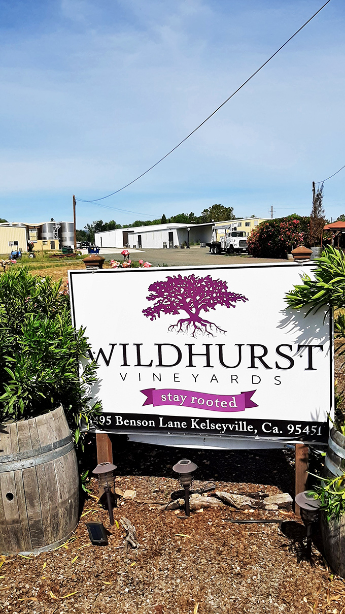 "Stay rooted" indeed&mdash;Wildhurst Vineyards embodies the unpretentious wine country experience where tastings don't require advance reservations or designer outfits.