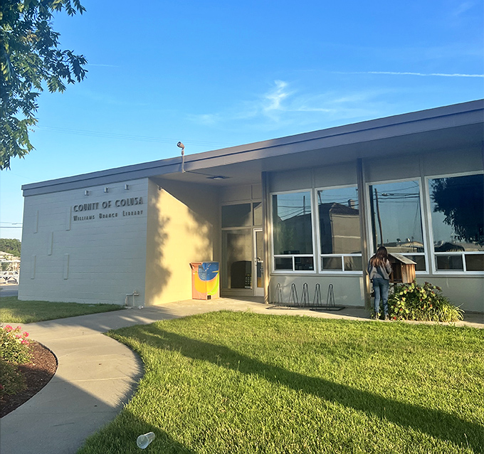 The Williams Library proves small-town literacy comes in modern packages&mdash;a place where retirees discover new worlds without the hassle of TSA screenings.