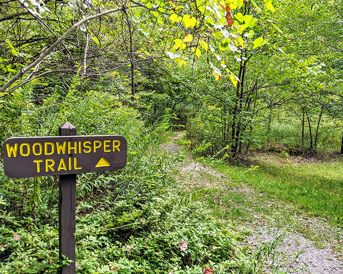 The whimsically named Woodwhisper Trail invites you to listen closely. These paths have secrets to share if you're willing to put your earbuds away.