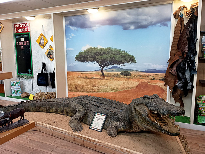 "I'm ready for my close-up!" This impressive taxidermy display gives visitors a safe way to appreciate just how massive these prehistoric predators can get.