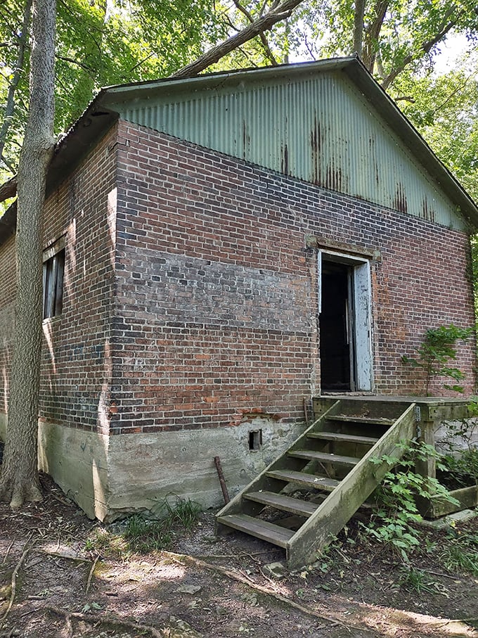 This abandoned brick building has more character than most reality TV stars&mdash;standing stoically as nature slowly reclaims its territory.