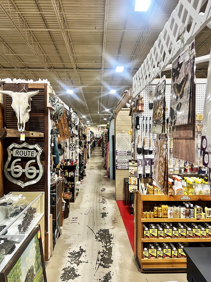 Route 66 memorabilia meets Florida treasure hunting. That cow skull has seen more American history than most history textbooks cover.