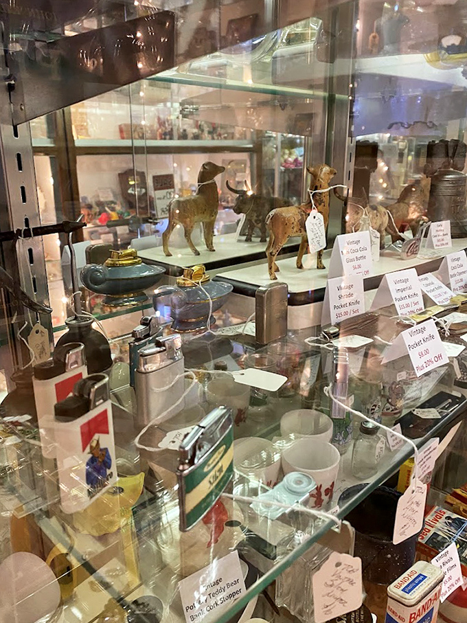 These creatures stare with the judgment of pets who've seen their owners' questionable fashion choices.