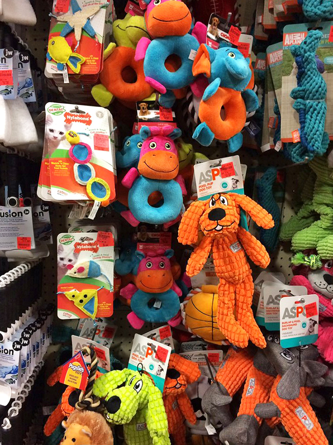 Pet toys that prove you can spoil your furry friends without depleting the treat budget. That orange corduroy dog would make any pup jealous.