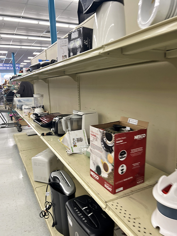 Small appliances with plenty of life left. That bread maker you've been curious about? Test-drive it for less than dinner out.