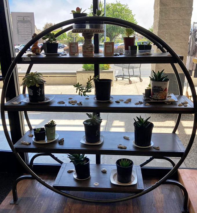 This circular plant stand isn't just holding succulents; it's organizing your plant addiction into something your spouse might actually call "decorative."