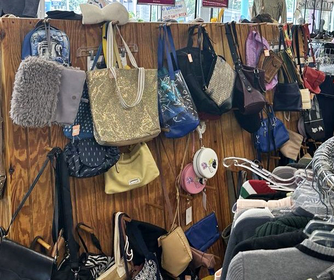 Handbag heaven: from practical totes to sparkly evening clutches, each one wondering if its next adventure might involve a sunset stroll on St. Pete Beach.