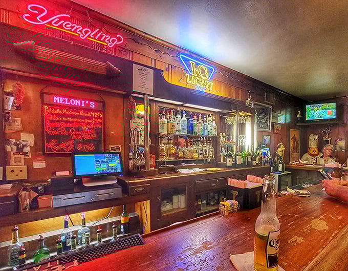 The bar at Meloni's glows with neon signs and decades of stories, a place where regulars don't need to specify their "usual."