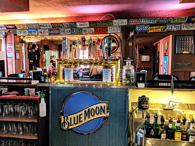 License plates and tap handles tell stories of roads traveled and beers enjoyed. This bar has more character than most novels.