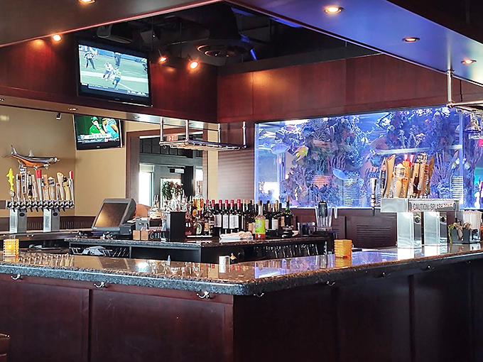 The bar area glows with promise, complete with an impressive aquarium. Where else can you toast your drink to the fish that didn't become dinner? 