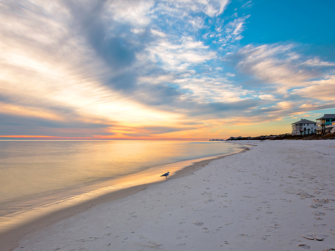 Golden hour magic: When the setting sun turns Grayton's famous white sand into a canvas of amber and rose, even the seagulls pause their scavenging to appreciate the show.