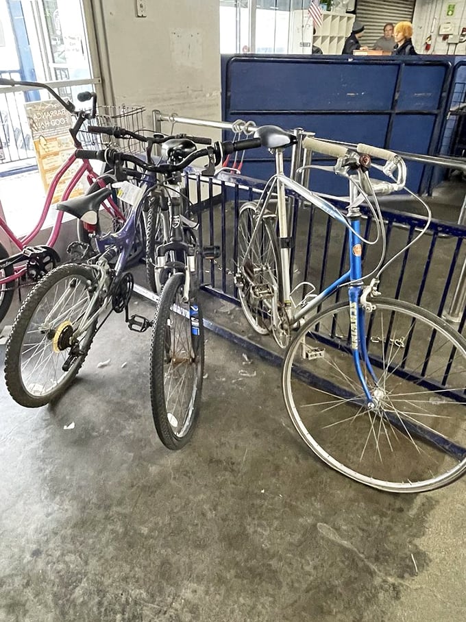 Bicycle bonanza! Urban commuters and weekend warriors alike can find their perfect two-wheeled companion without breaking the bank.