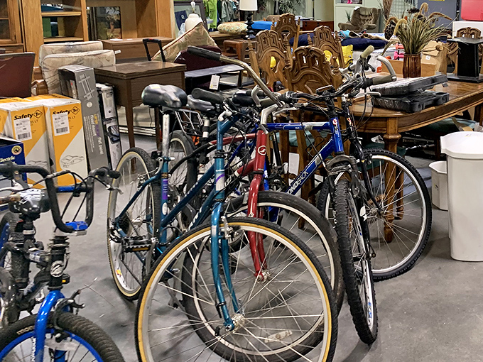 Bicycle battalion! These gently-used two-wheelers are ready to hit Florida's flat terrain without flattening your wallet.