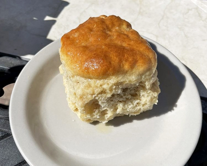 The humble biscuit—cornerstone of any respectable diner breakfast. Golden-topped, fluffy-centered, and ready for whatever topping you deem worthy.