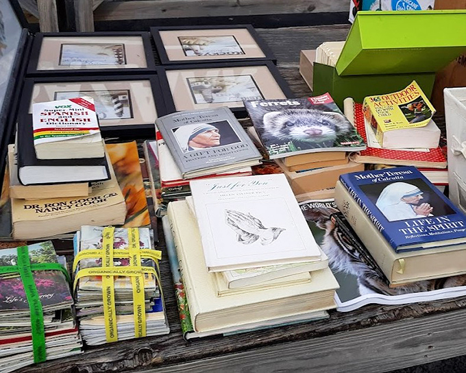 Books stacked with care&mdash;from Mother Teresa to wildlife guides, these pages hold adventures costing less than your morning coffee.