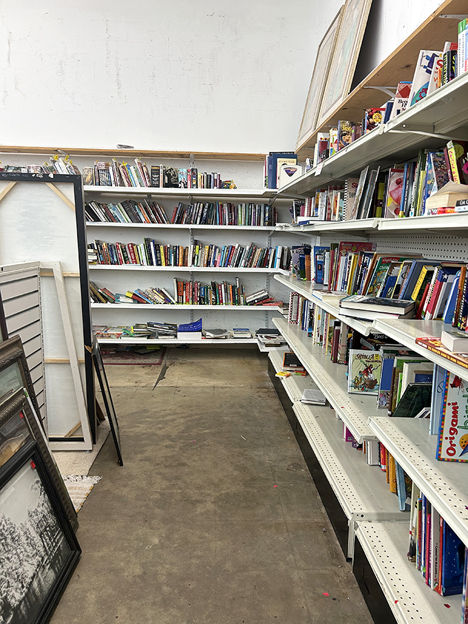 The book nook: where literary dreams go for their encore performance. Bestsellers and forgotten gems sharing shelf space like old friends.