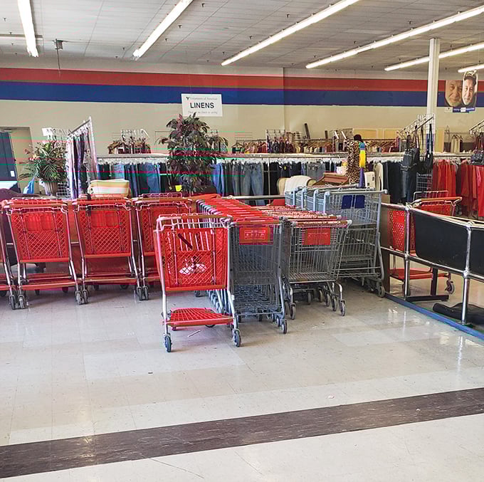 The red shopping cart brigade stands ready for action. Choose your thrifting chariot and prepare for adventure!