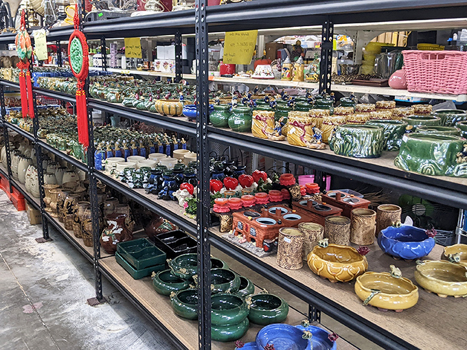 Ceramic paradise where ashtrays become candy dishes and vintage planters await new greenery. Grandma's china has found its temporary home.