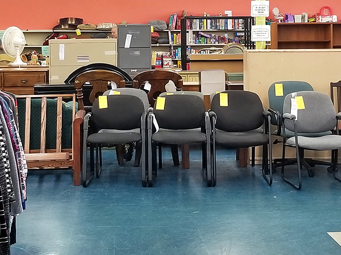Office chairs lined up like job applicants. "Hire me," they seem to say, "I'll support you through countless Zoom meetings for a fraction of retail."