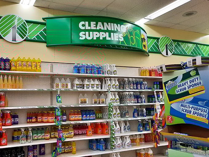 The cleaning supply aisle: where domestic warriors arm themselves for battle against household grime without declaring war on their bank accounts.