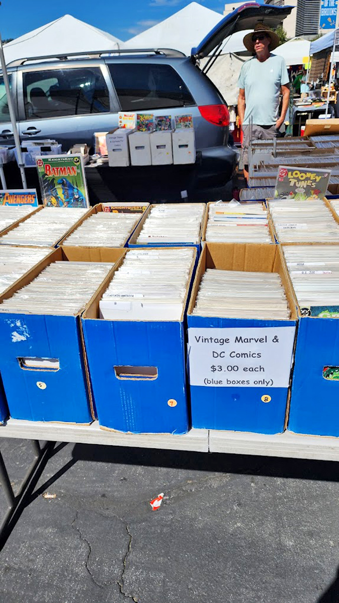 Comic book boxes that make grown men act like eight-year-olds again. "Just one more box to check" is the lie every collector tells themselves.