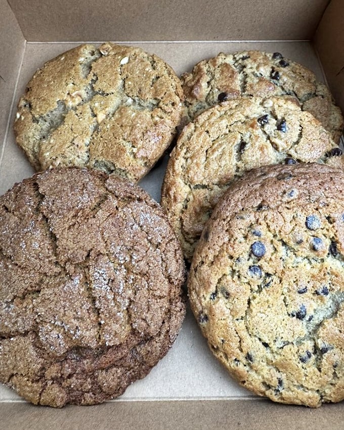 Cookies that look like they were baked with equal parts butter, nostalgia, and witchcraft. Resistance is both futile and foolish.