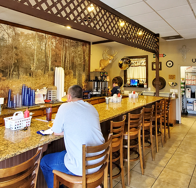 Counter seating under a woodland mural – where solo diners become part of the Woodsby's family within minutes of sitting down.