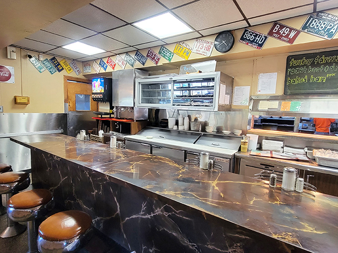 The counter seating offers front-row tickets to the breakfast show, with vintage license plates providing the perfect backdrop for morning deliberations.