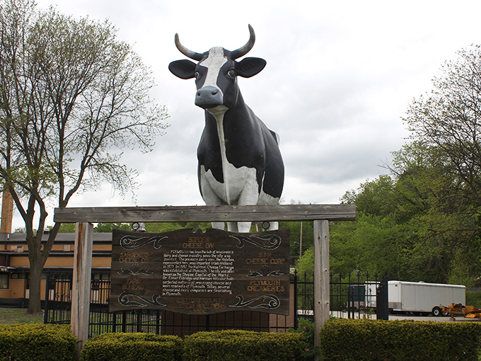 Against moody skies, Antoinette maintains her stoic vigil. Rain or shine, this cow never complains about Wisconsin weather.