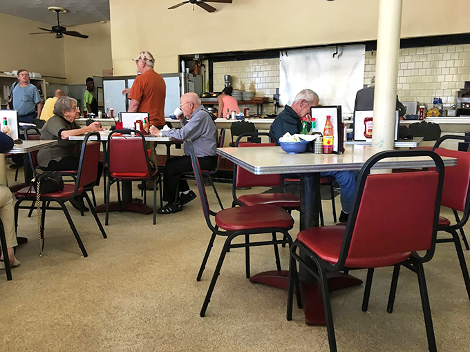 The dining room hums with conversation and the clink of silverware. These red chairs have supported generations of Pensacola residents sharing meals and memories.
