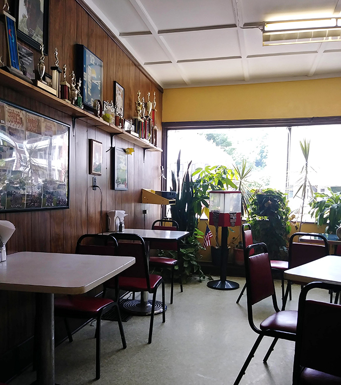 Trophies line the walls while plants bring life to this cozy corner. A neighborhood institution where memories are made between bites.