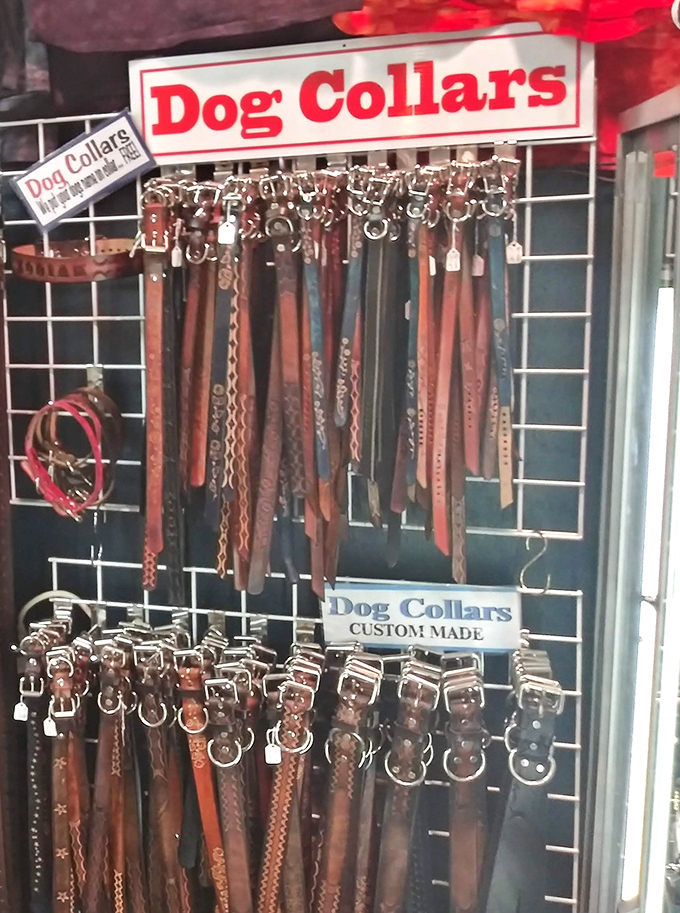 Fido deserves flea market finds too! These handcrafted leather dog collars prove that pet accessories needn't cost more than human ones.