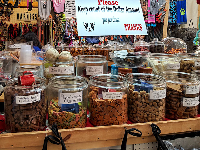 The "keep count" sign is merely a suggestion when faced with this tempting array of nuts and treats that would make any squirrel jealous.