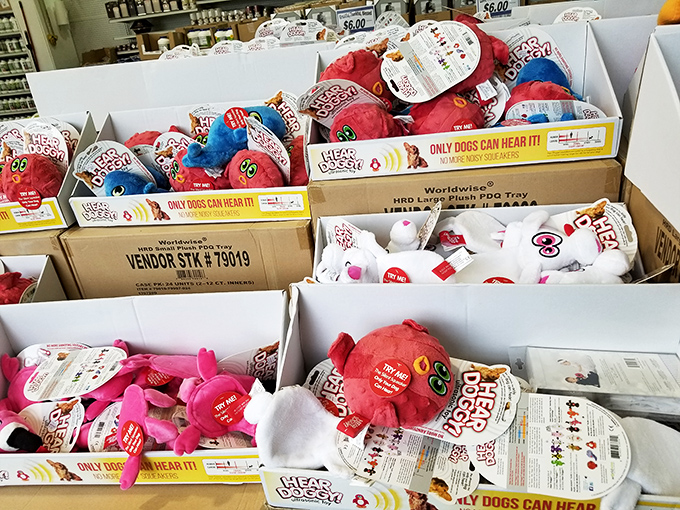 Dog toys that only dogs can hear&mdash;and prices that'll make pet owners cheer. Fido deserves a bargain too!