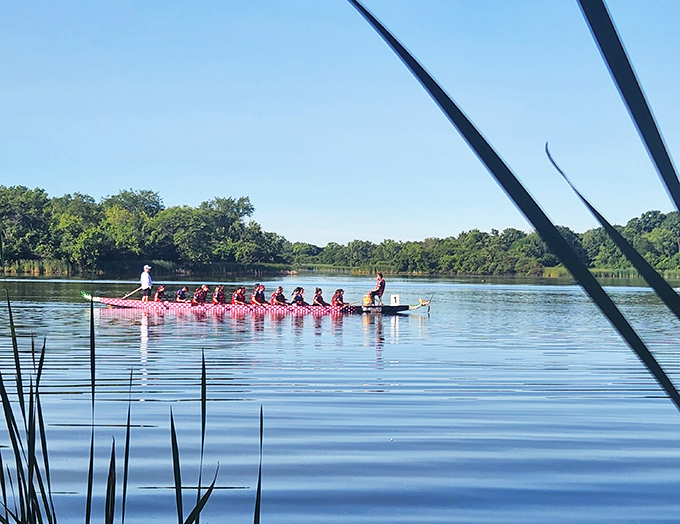 Dragon boat teams slicing through glass-like waters prove that synchronized paddling is both mesmerizing to watch and impossible to photograph badly.