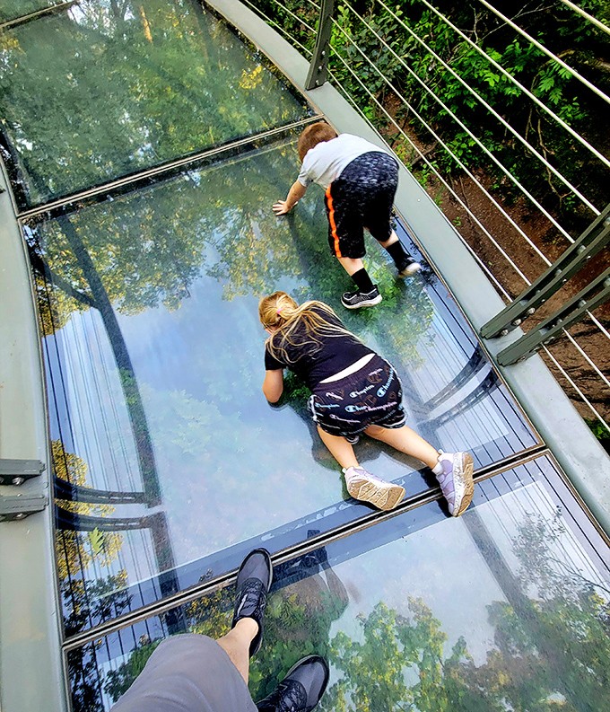 The glass walkway offers thrills without the spills! Children discover the excitement of seemingly walking on air while parents discover new levels of anxiety watching them.