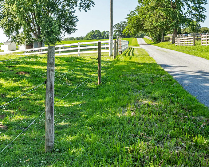 The road less traveled: Simple white fences line country lanes where the only traffic jam might involve a farmer moving his herd from one pasture to another.
