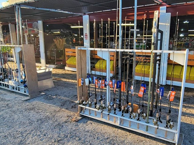 Fishing rod forest! Whether you're an expert angler or just want to look like one, there's a pole here with your name on it.