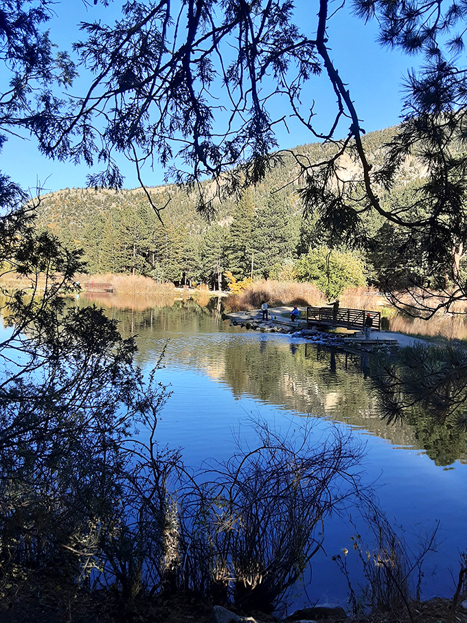The perfect fishing spot doesn't exi&mdash; Oh wait, here it is, complete with mountain backdrop and water so clear you can practically negotiate with individual trout.