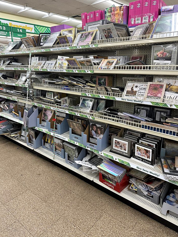 Picture frames galore for preserving memories without preserving debt. From minimalist to ornate, there's something for every photo opportunity.