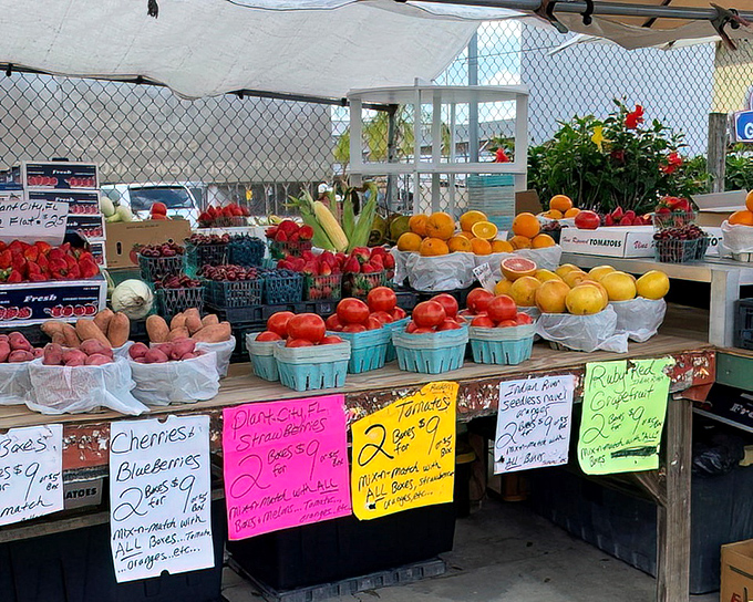 Fresh produce that puts grocery store prices to shame &ndash; those tomatoes actually look like real tomatoes, imagine that.