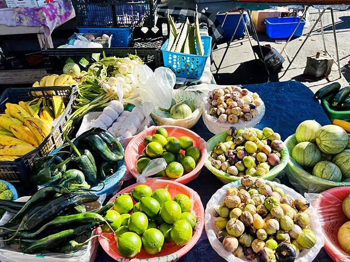 Nature's candy counter. These bowls of limes, tomatillos, and fresh produce create a vibrant palette that puts supermarket offerings to shame.