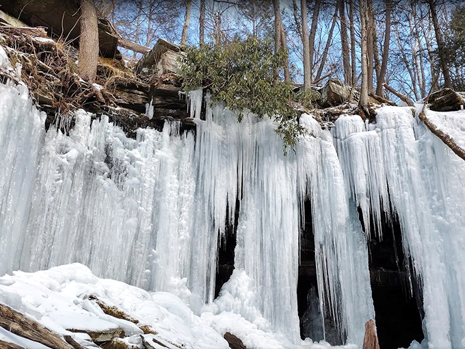 Jacoby Falls in winter becomes nature's ice sculpture gallery, where every icicle tells a story of patience and breathtaking transformation.