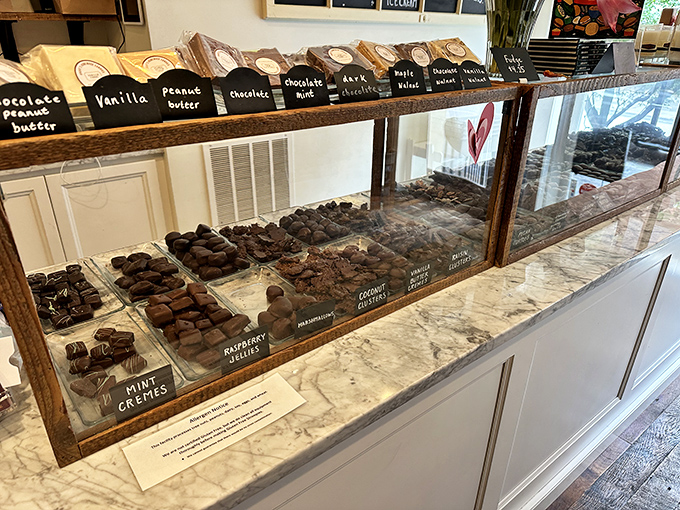 Artisanal chocolates lined up with military precision, their hand-lettered signs like name tags at a delicious convention.