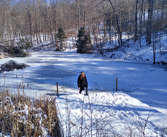 Winter transforms Boch Hollow into a snow globe come to life. Even in the coldest months, dedicated explorers find magic in the preserve's frozen landscapes.