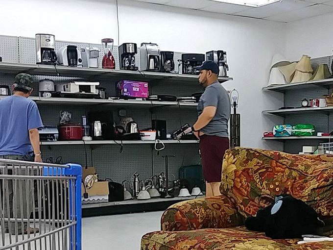 Coffee makers lined up like hopeful contestants on a caffeine-themed game show, each one priced less than two fancy lattes at your local café.