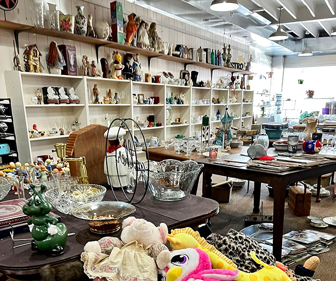 Home decor displays showcase decades of American taste, from questionable wall art to surprisingly sophisticated vintage finds.